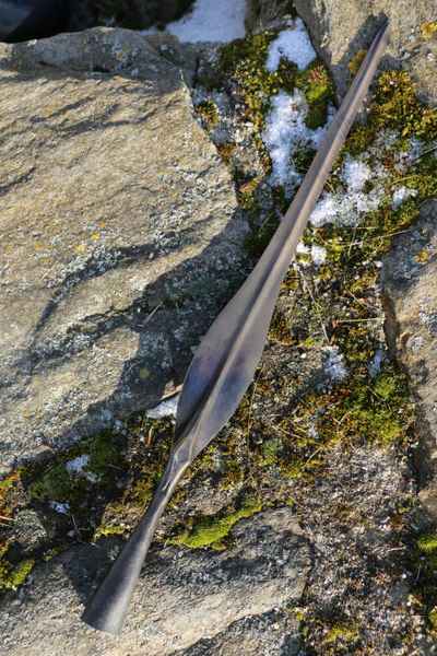 GAEL, Celtic Spear, la téne Wulflund