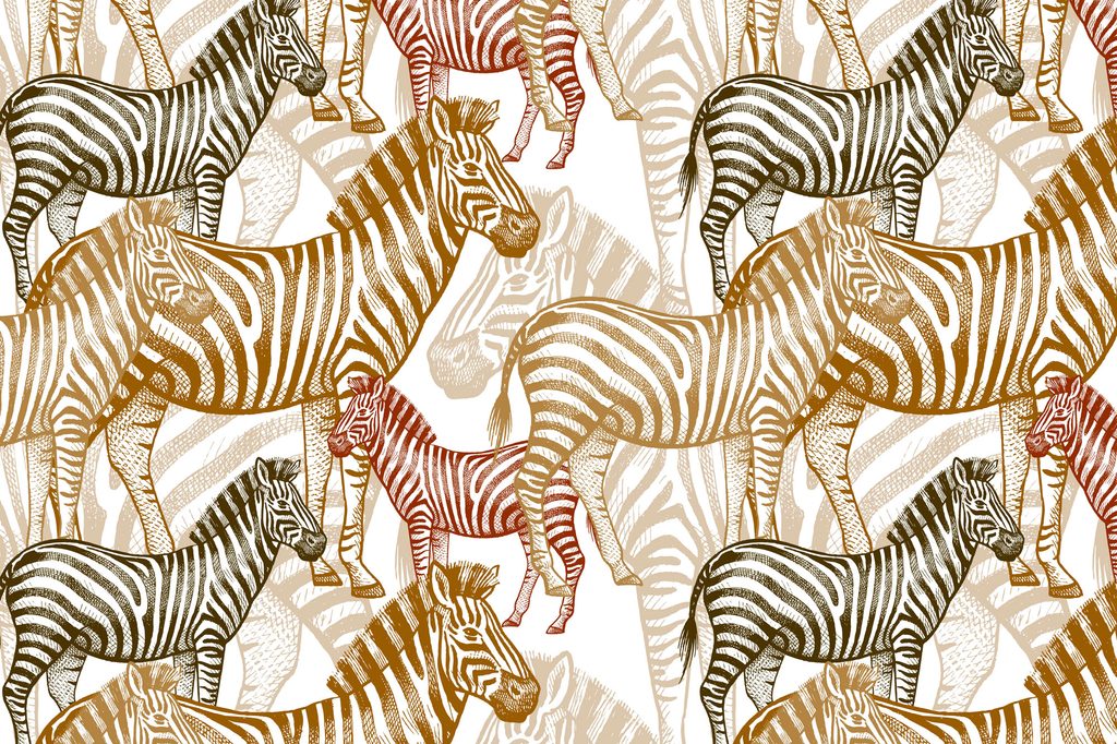 Obraz królestwo zebr | Dovido.pl