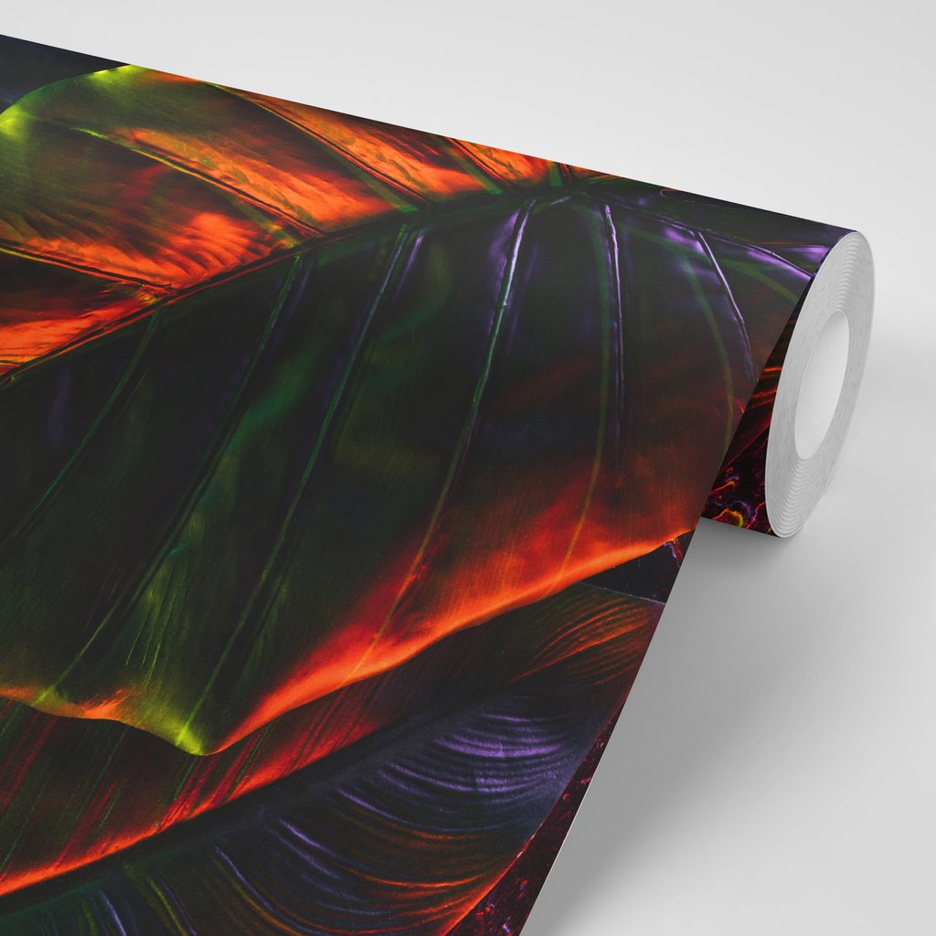 Tapeta tropski palmini listovi | Dovido.hr