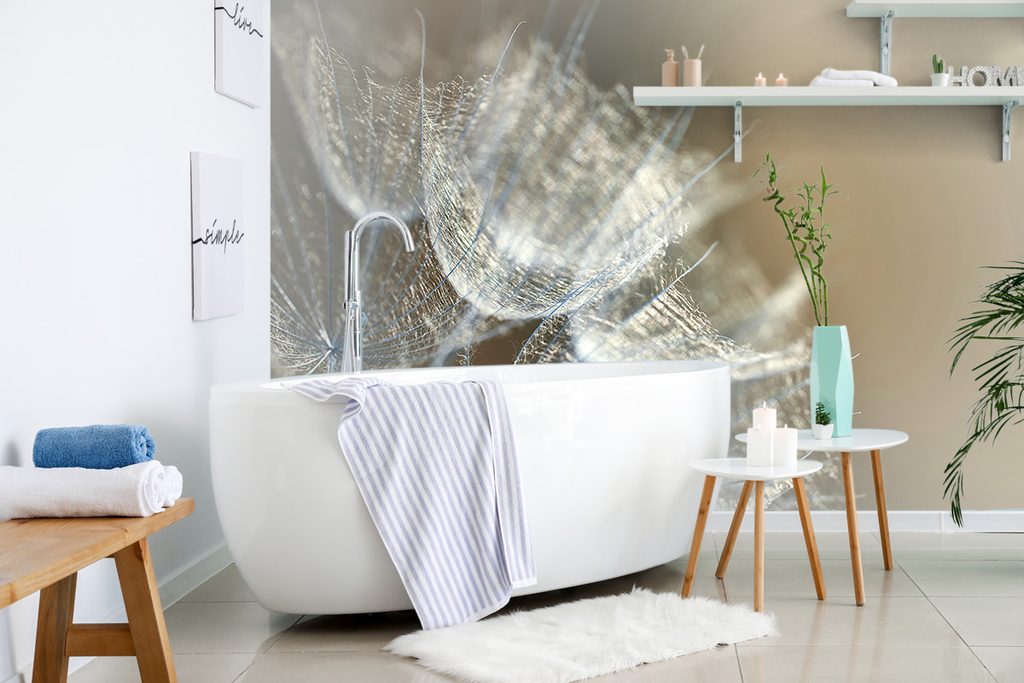 Fototapeta makro pampeliška | Dovido.cz