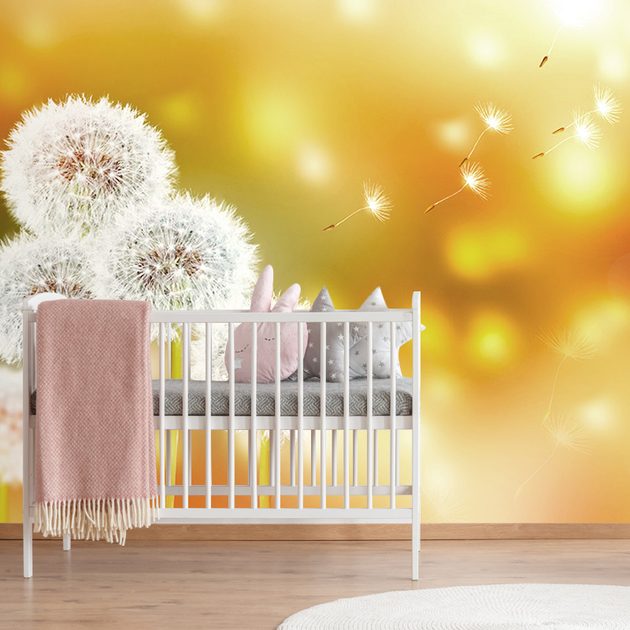 Tapete Flauschige Pusteblume | Dovido.de