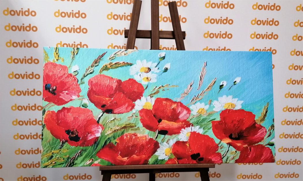 Slika crveni makovi u polju | Dovido.hr