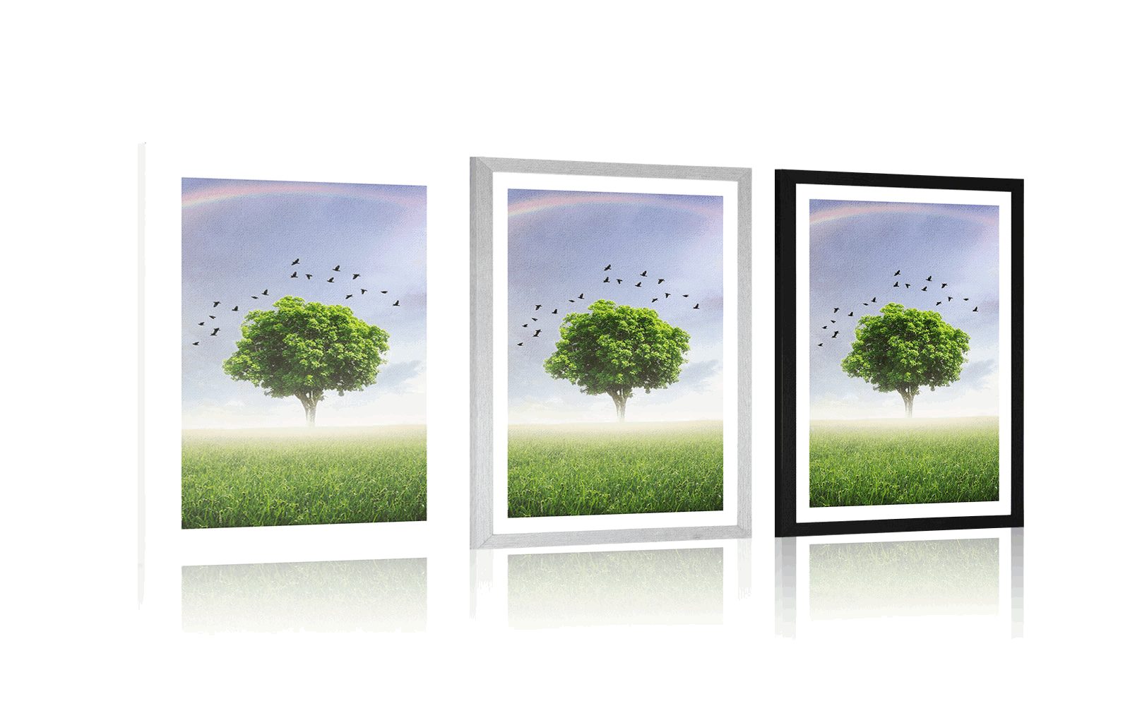 Poster cu passepartout copac singuratic pe luncă | Dovido.ro