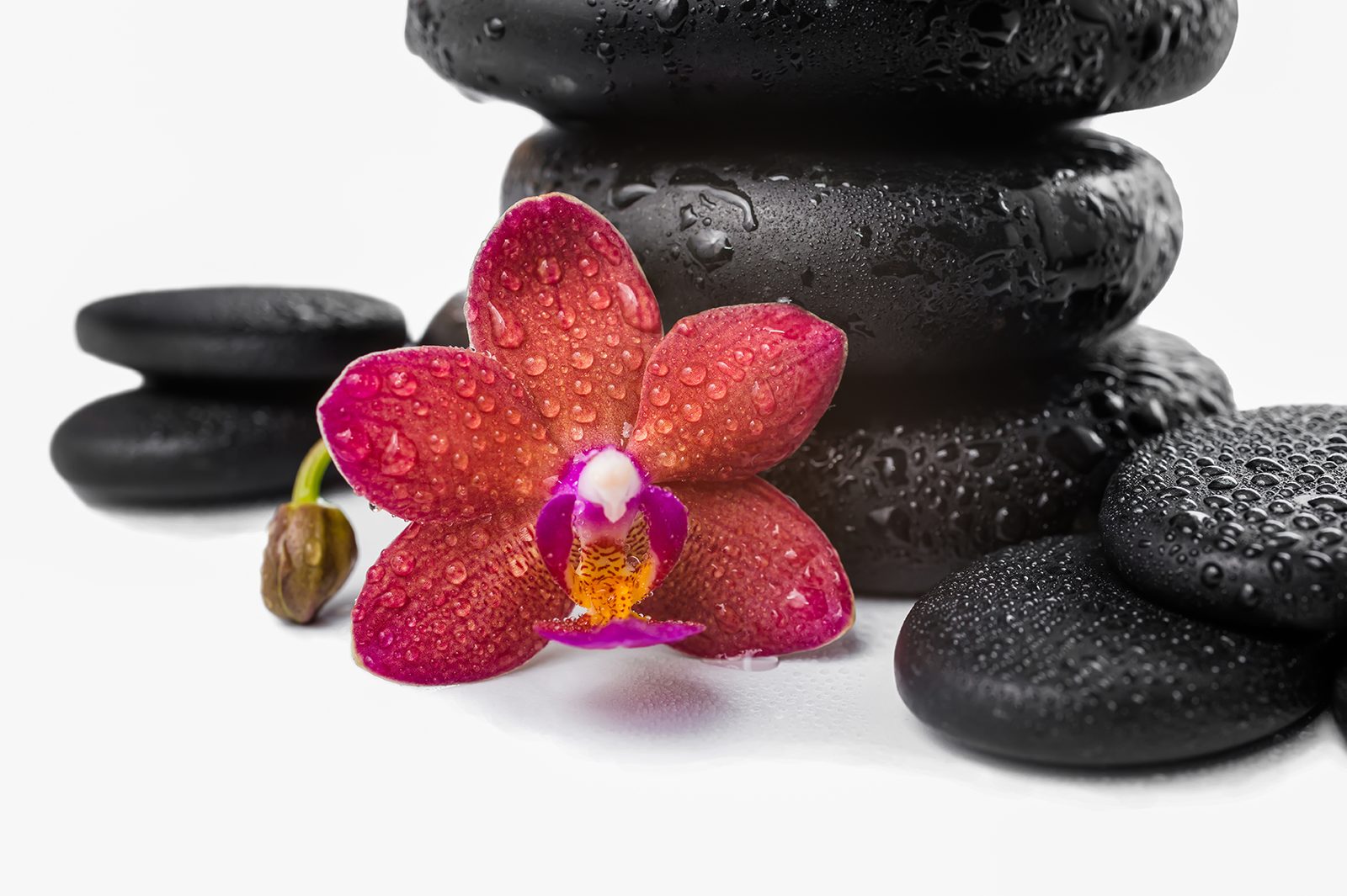 Samolepiaca tapeta orchidea a Zen kamene na bielom pozadí | Dovido.sk