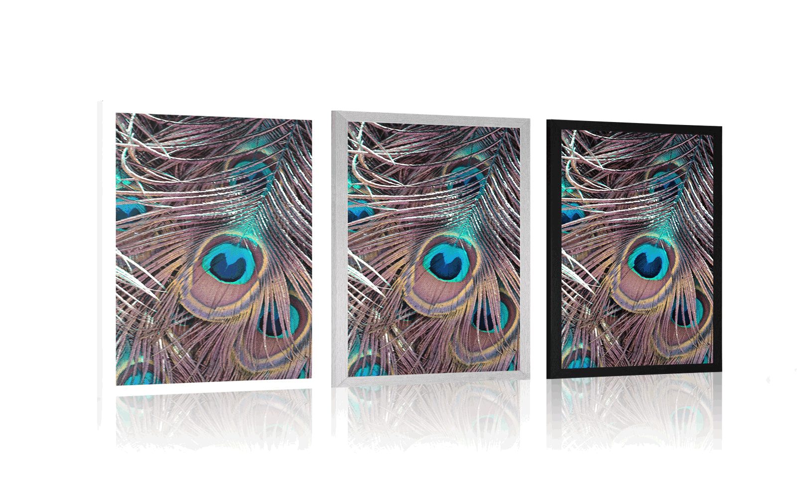 Poszter páva toll | Dovido.hu