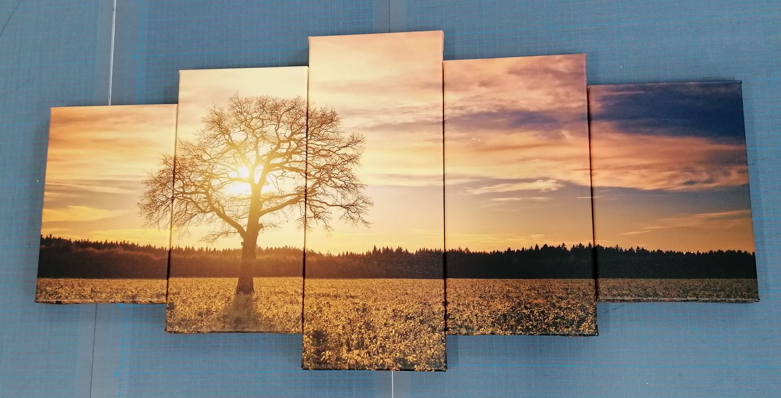 5 Teilige Bilder
