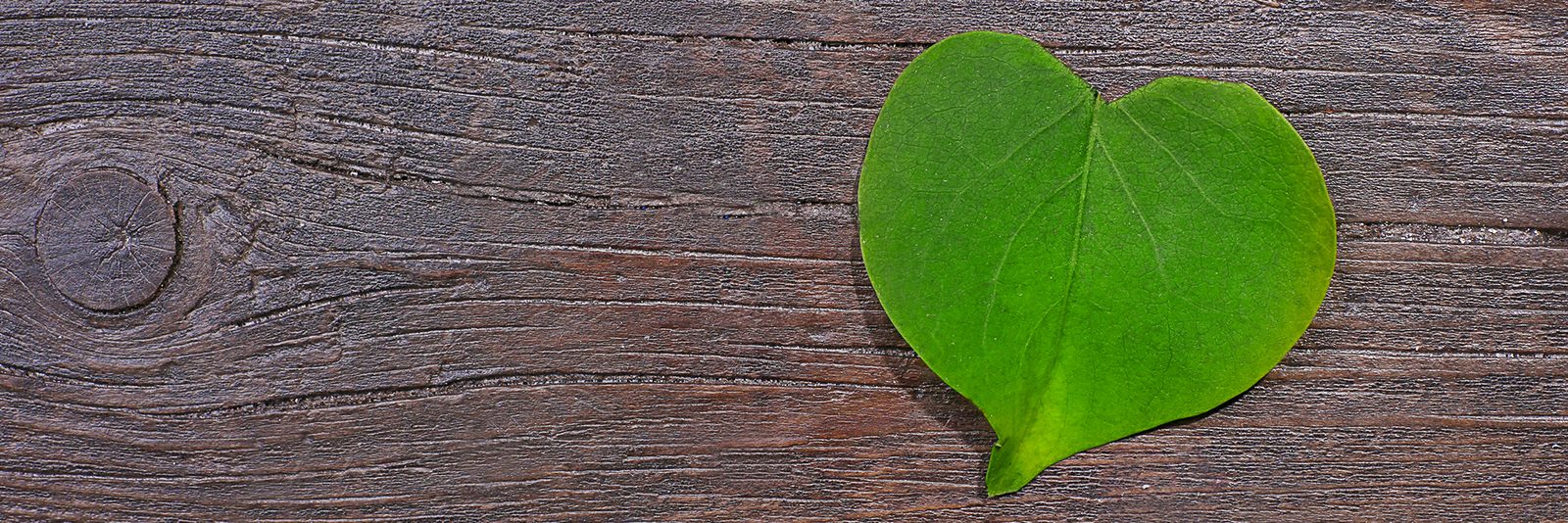 Obraz list v tvare srdca na drevenom podklade | Dovido.sk