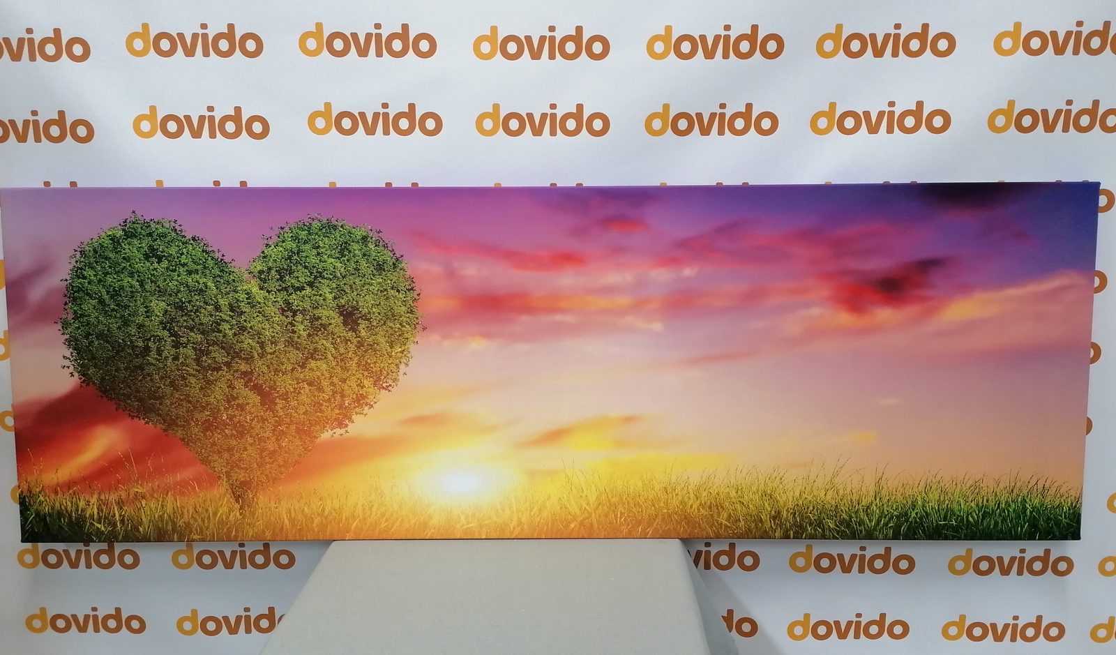 Obraz strom v tvare srdca na lúke | Dovido.sk