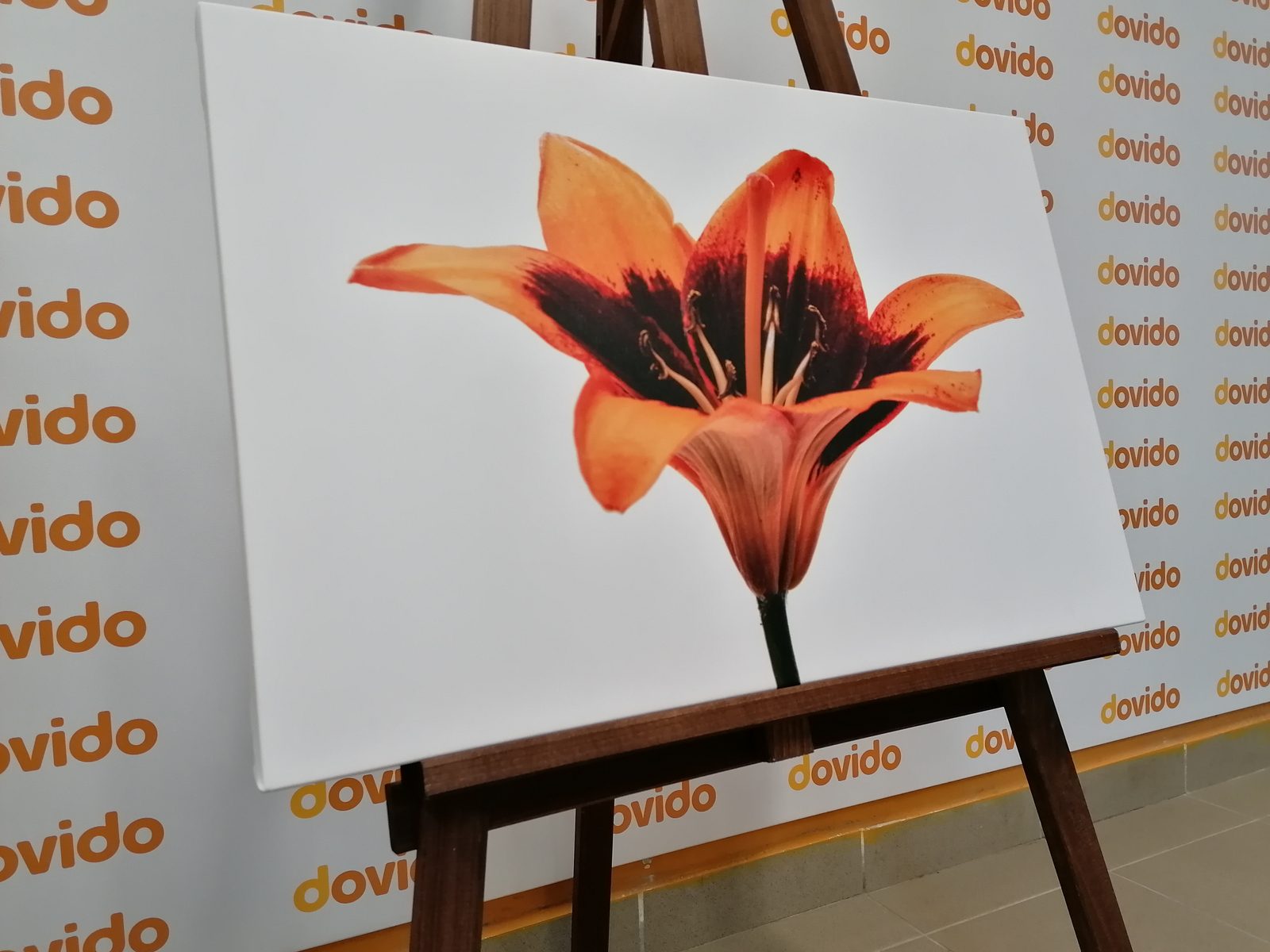 Obraz oranžová ľalia | Dovido.sk