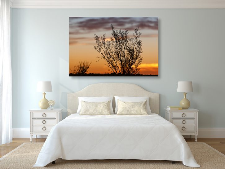Tablou ramuri de copaci la apus de soare | Dovido.ro