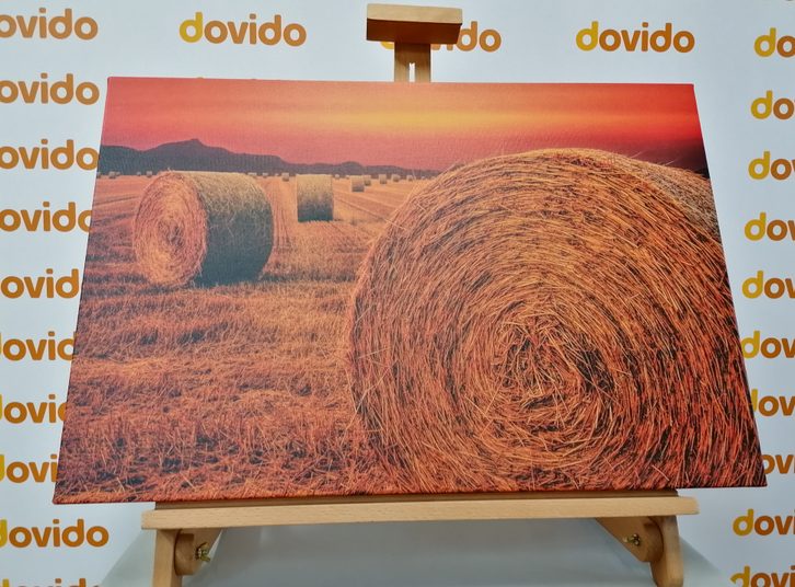 Obraz balíky sena | Dovido.cz