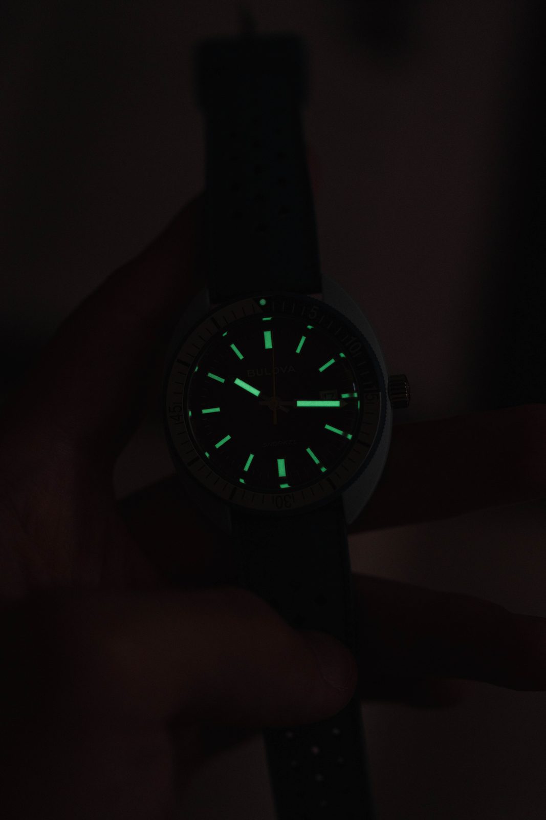 Bulova Snorkel 98B446 Sea Turtle | Helveti.cz