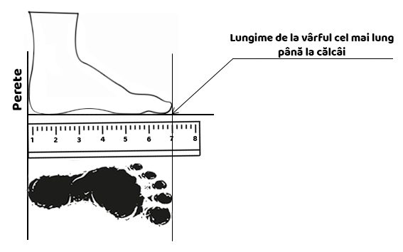 Cum se măsoară piciorul și se alege mărimea potrivită? | Pidilidi.ro