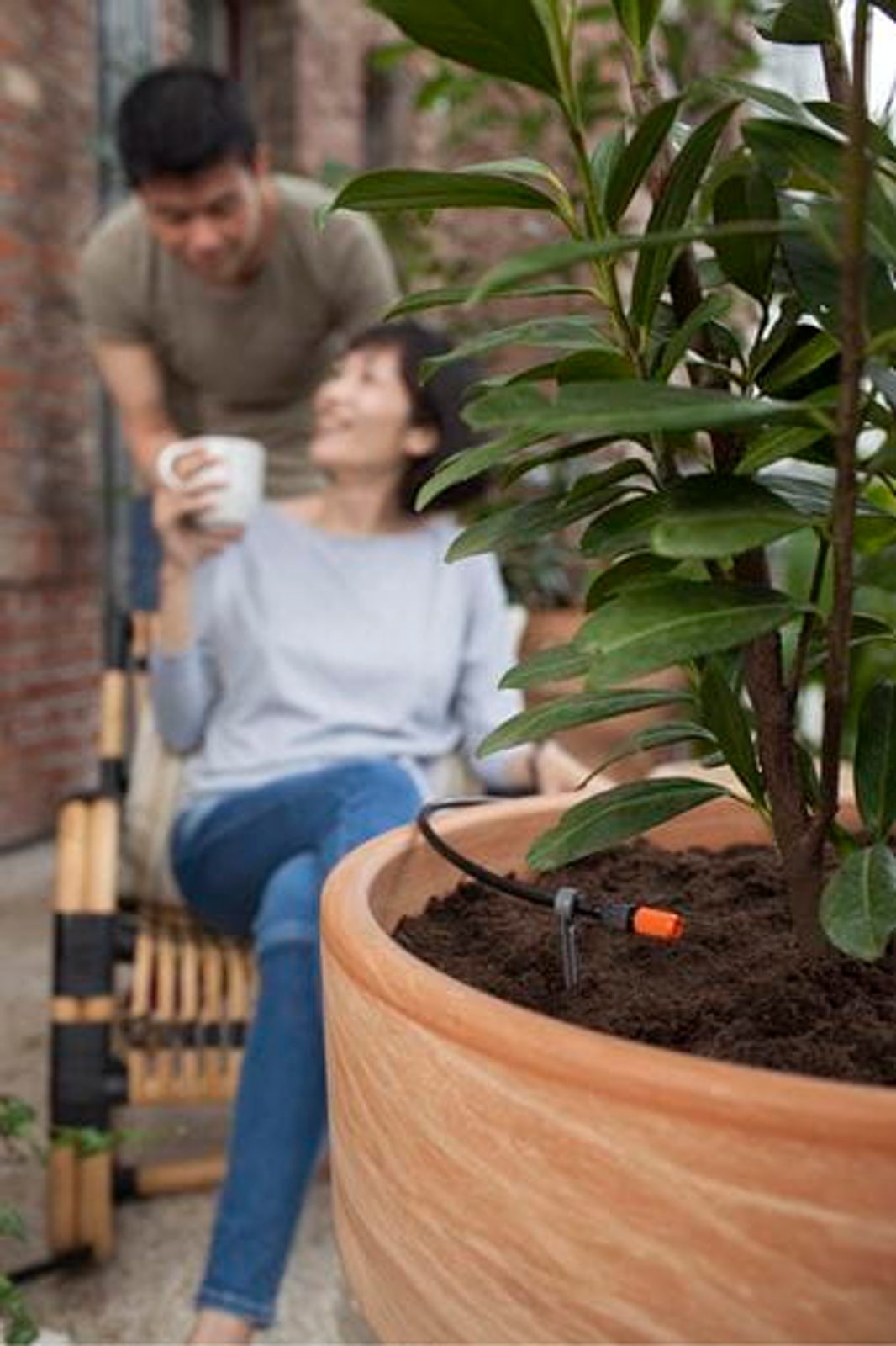 Startovací sada Gardena pro rostliny v květináčích M | Jarabák