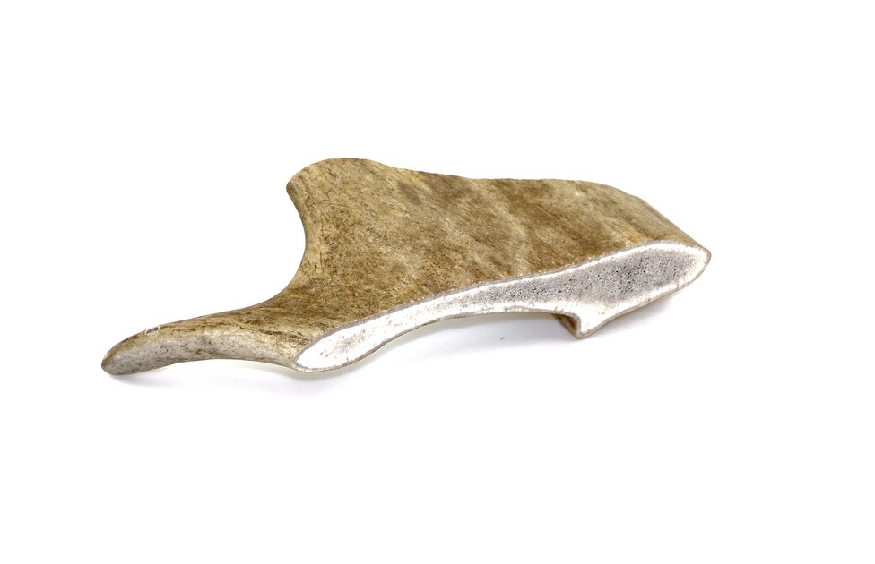 Marp | Marp Holistic - Dančí paroh, velikost M | Marp Holistic ...