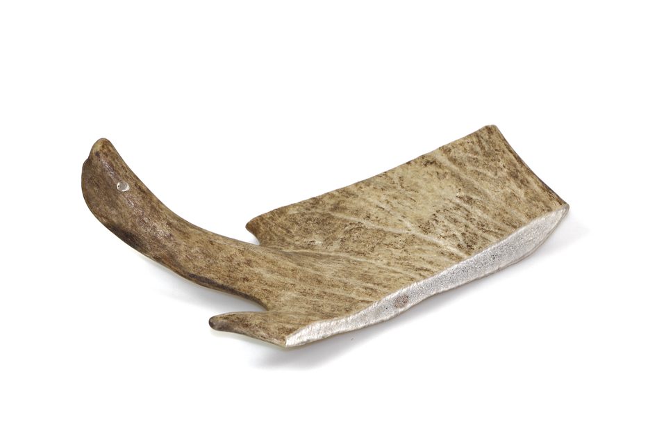 Marp | Marp Holistic - Dančí paroh, velikost XL | Marp Holistic ...