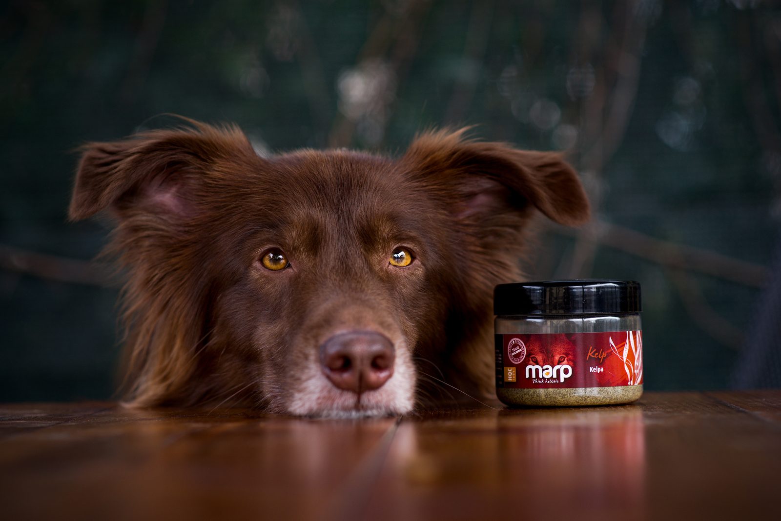 Marp | Marp Holistic - Kelp | Marp Holistic | Marp Supplements | For dogs, Products
