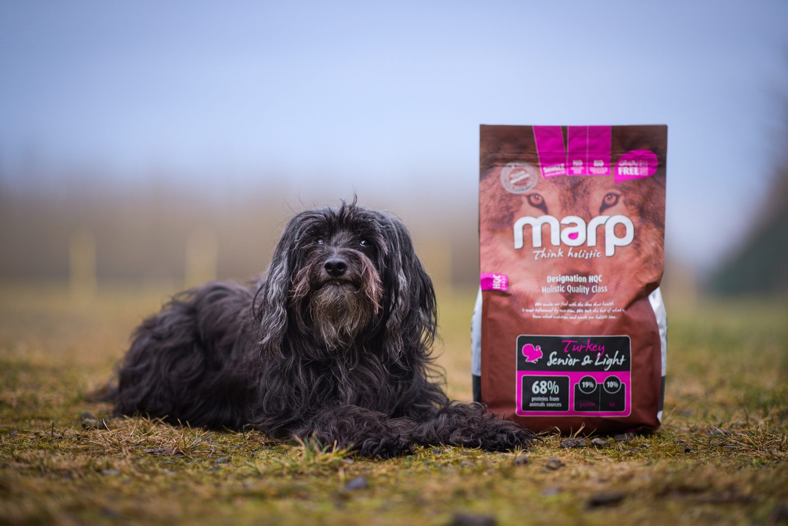 Marp | Marp Holistic Turkey S&L Grain Free | Marp Holistic | Marp Holistic | For dogs, Products