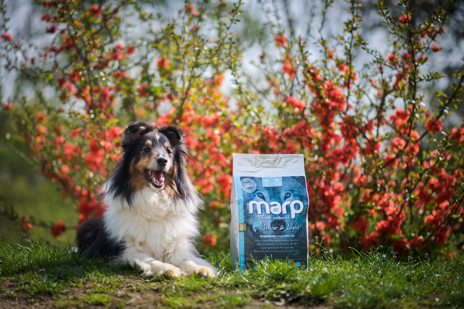 Marp | Marp Natural Senior and Light | Marp Natural | Marp Natural ...
