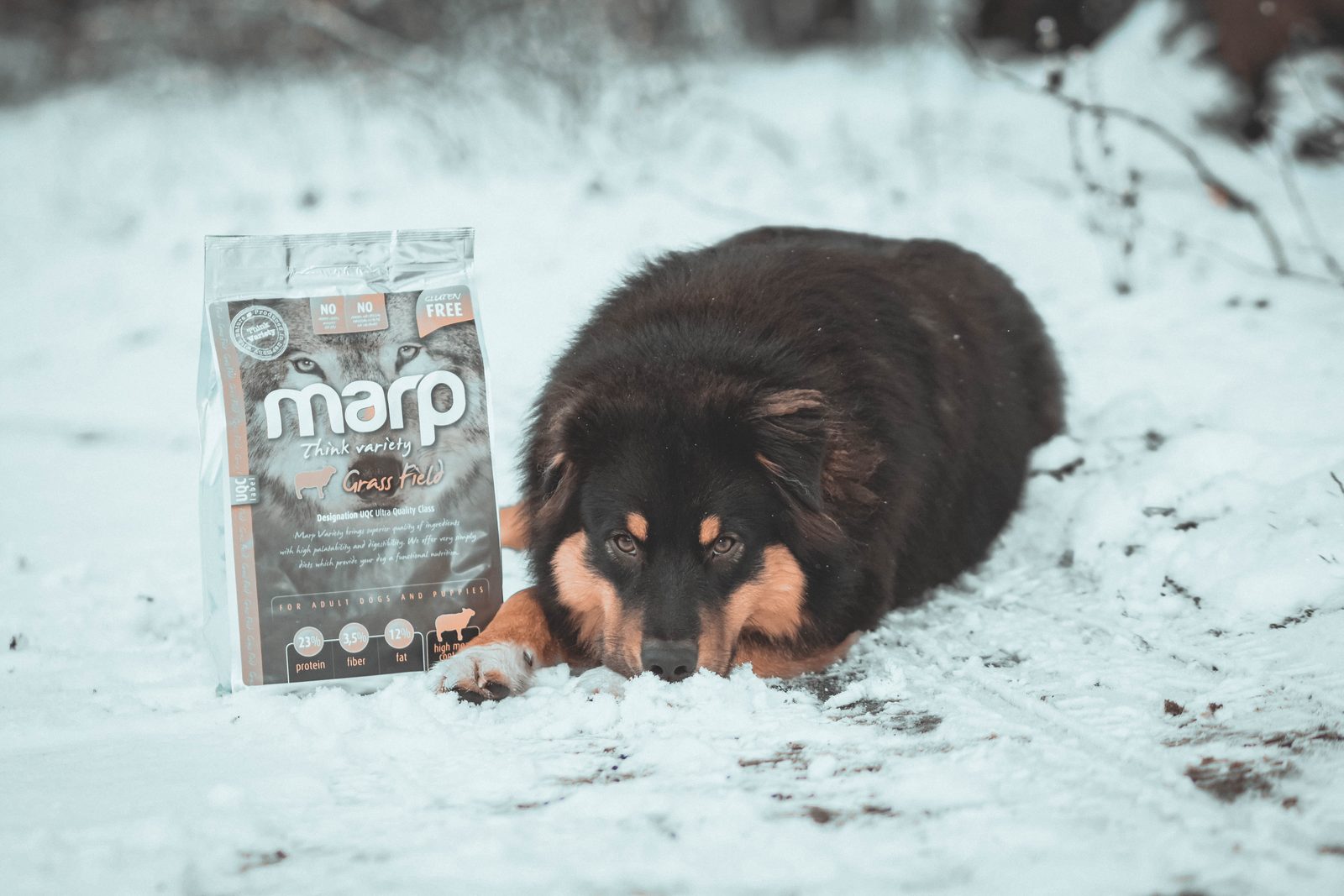 Marp | Marp Variety Grass Field | Marp Variety | Marp Variety | For ...