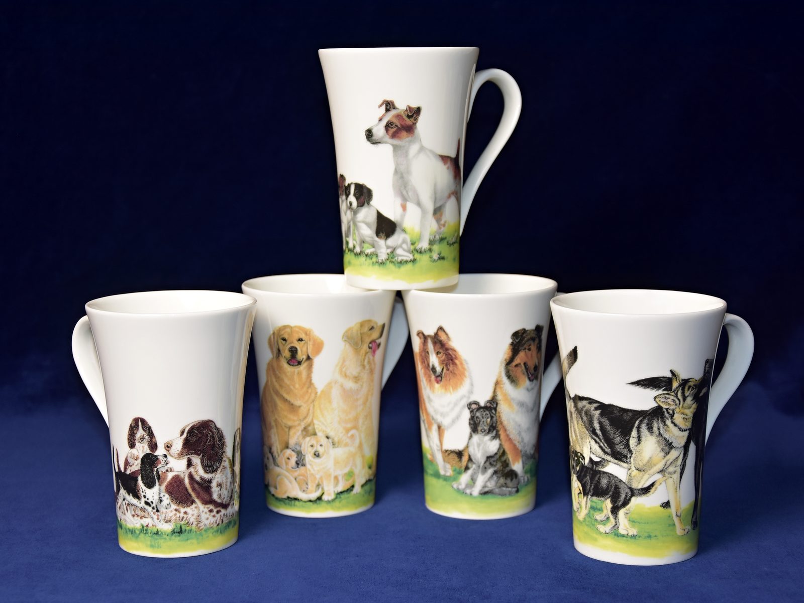 Dog Collection - English Springer Spaniel: Emily Mug 400 ml, English ...