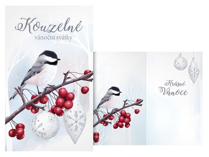 přání Vánoční malé V23-133 Z PRANI_Z_564 | MFP Paper s.r.o ...