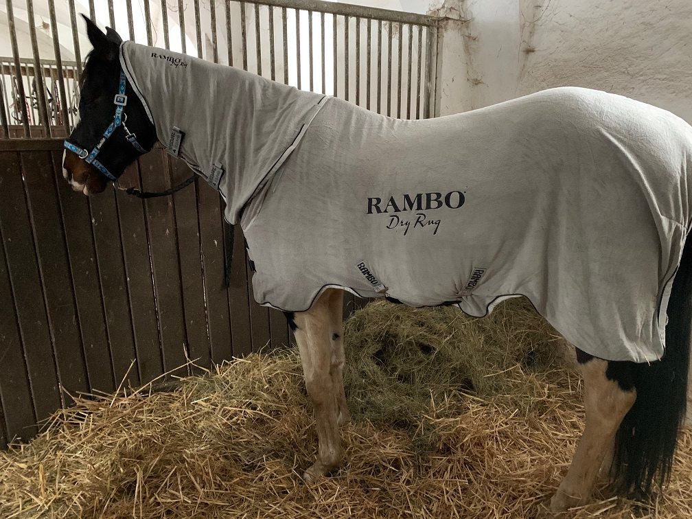 Odpocovací deka Horseware Rambo Dry Rug - Equiservis.cz