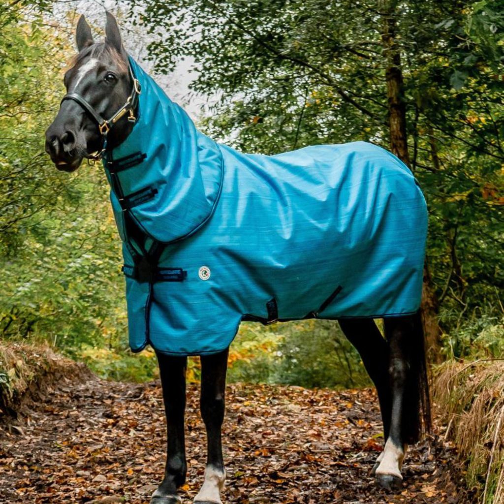 Deka výběhová Amigo Hero 900 Revive Plus 200g s krkem - Equiservis.cz