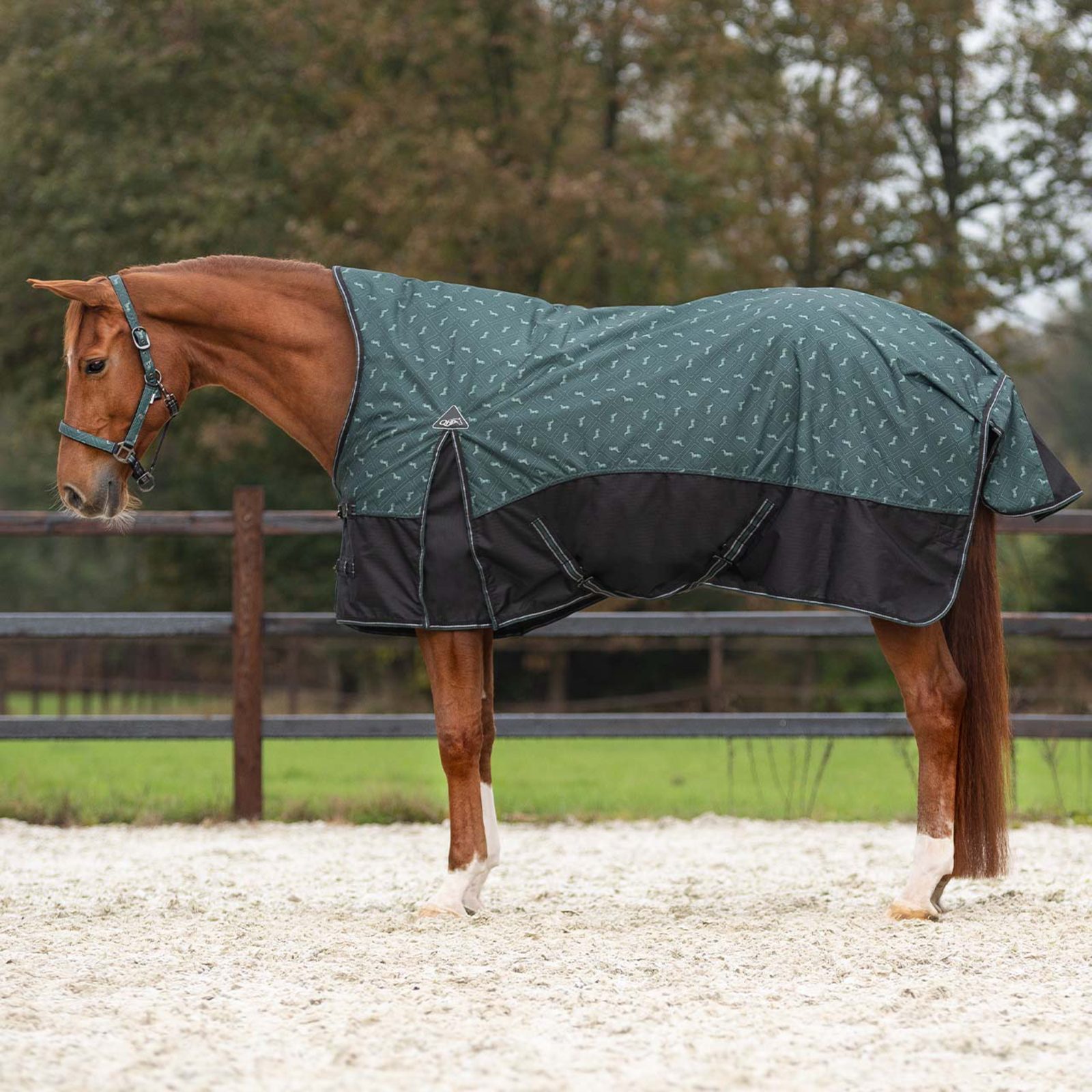 Deka termo výběhová QHP Highneck 150g KOLEKCE 2024/25 - Equiservis.cz