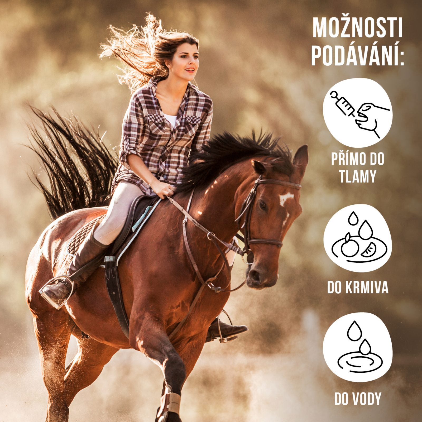 Laiven Fauna Equi 100ml - Tekutý probiotický přípravek DOPRODEJ ...