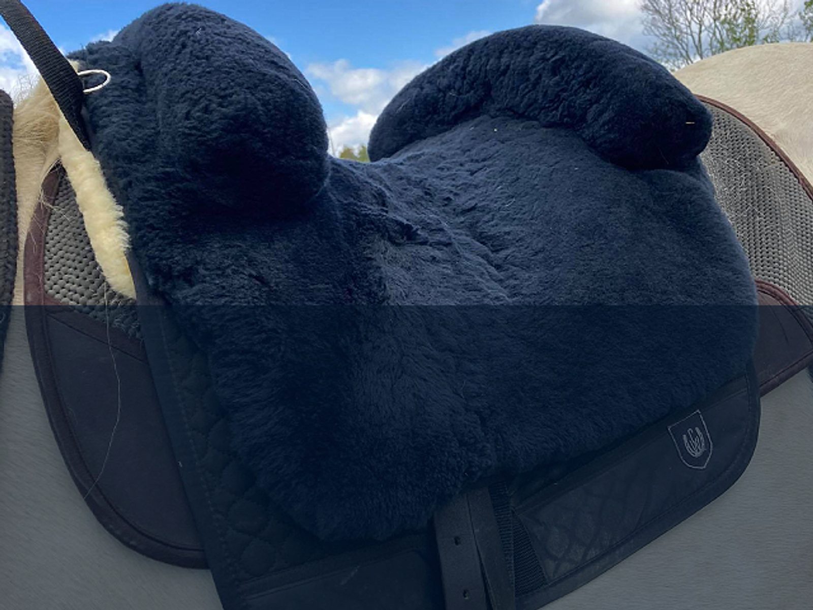 Testujeme pro vás - Christ Iberica Plus bareback pad - Equiservis.cz