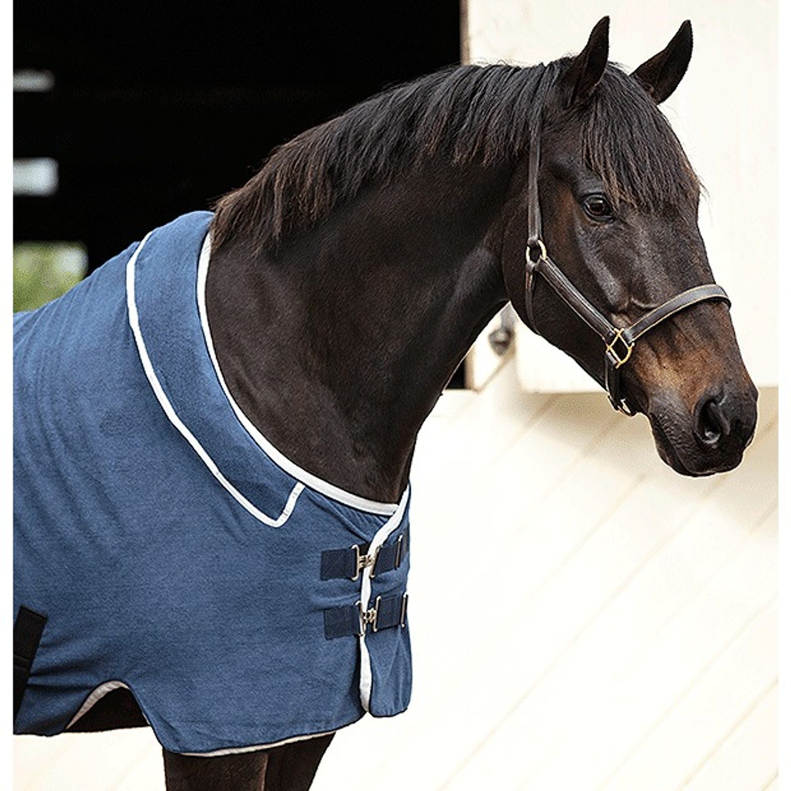 Deka Horseware Rambo Dry Rug NA OBJEDNÁVKU - Equiservis.cz
