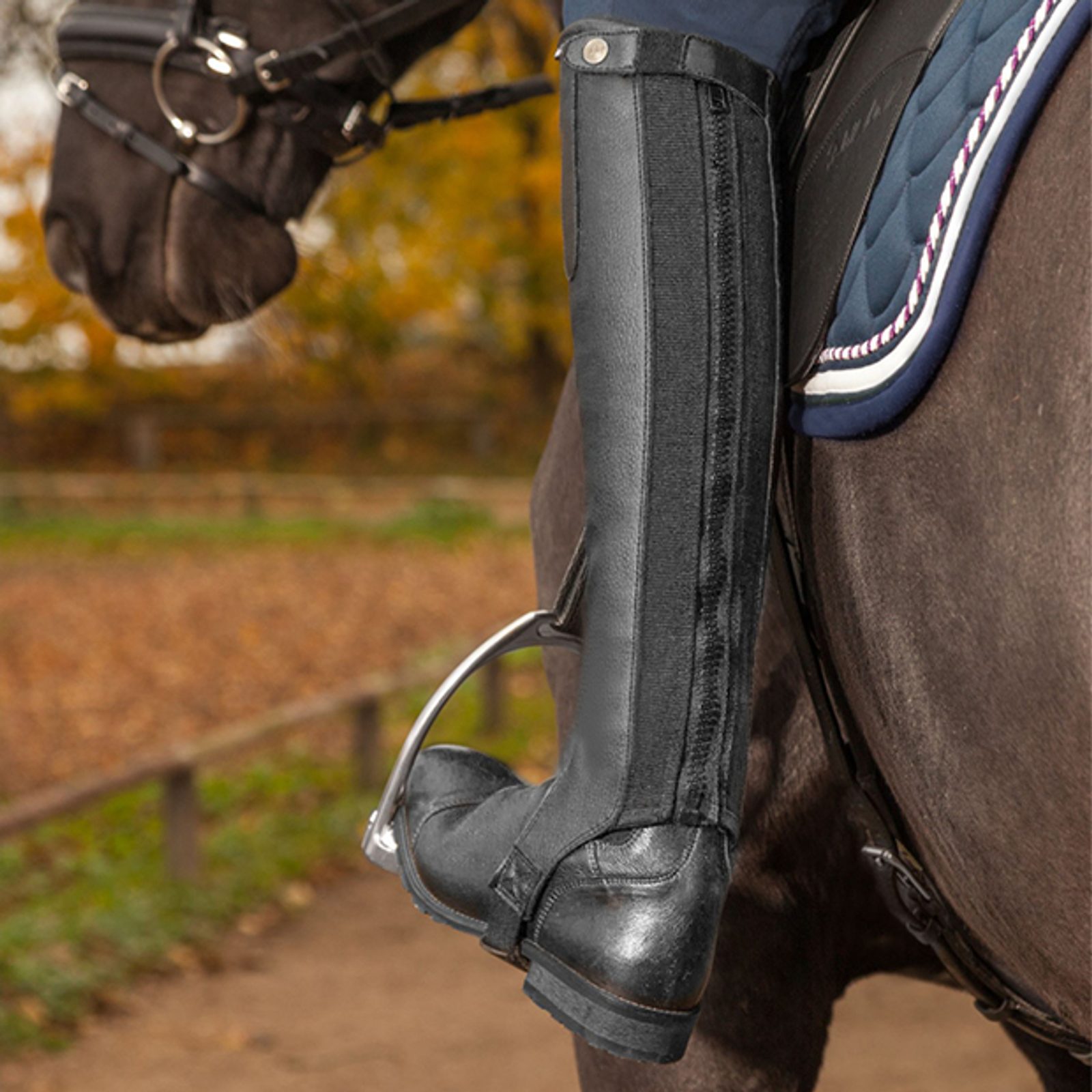 Minichaps Kantrie Exclusive - Equiservis.cz