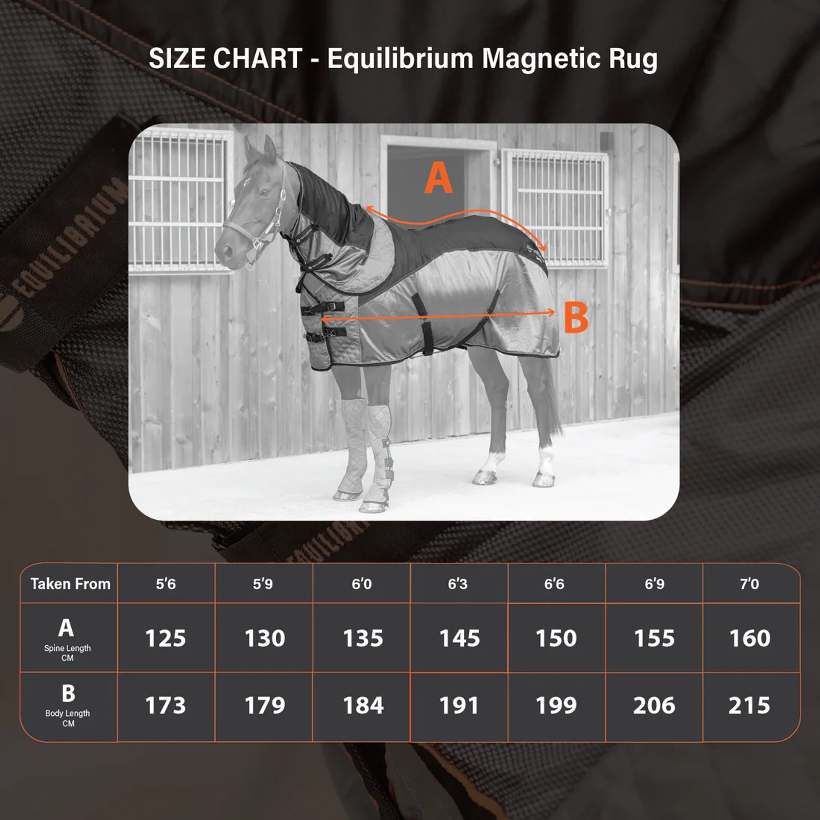 Magnetická deka Equilibrium Therapy Magnetic - Equiservis.cz