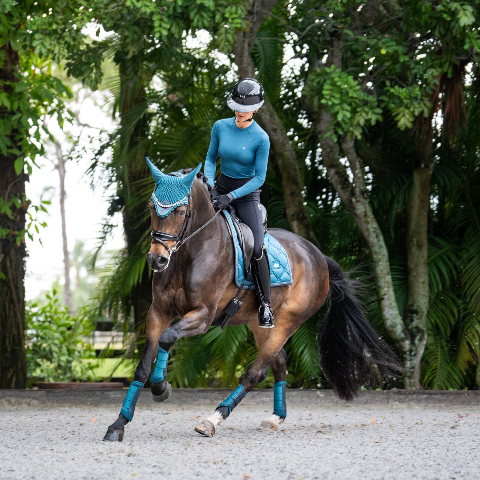 Čabraka na uši Equestrian Stockholm Teal blue Kolekce 2025/26 ...