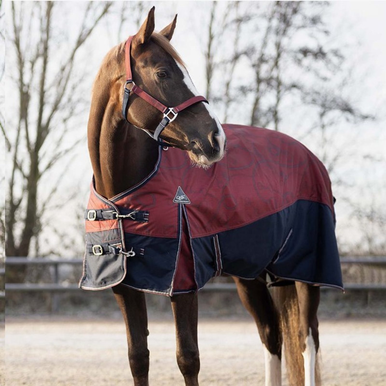 Deka termo QHP výběhová 600D 300g KOLEKCE 2022/23 - Equiservis.cz