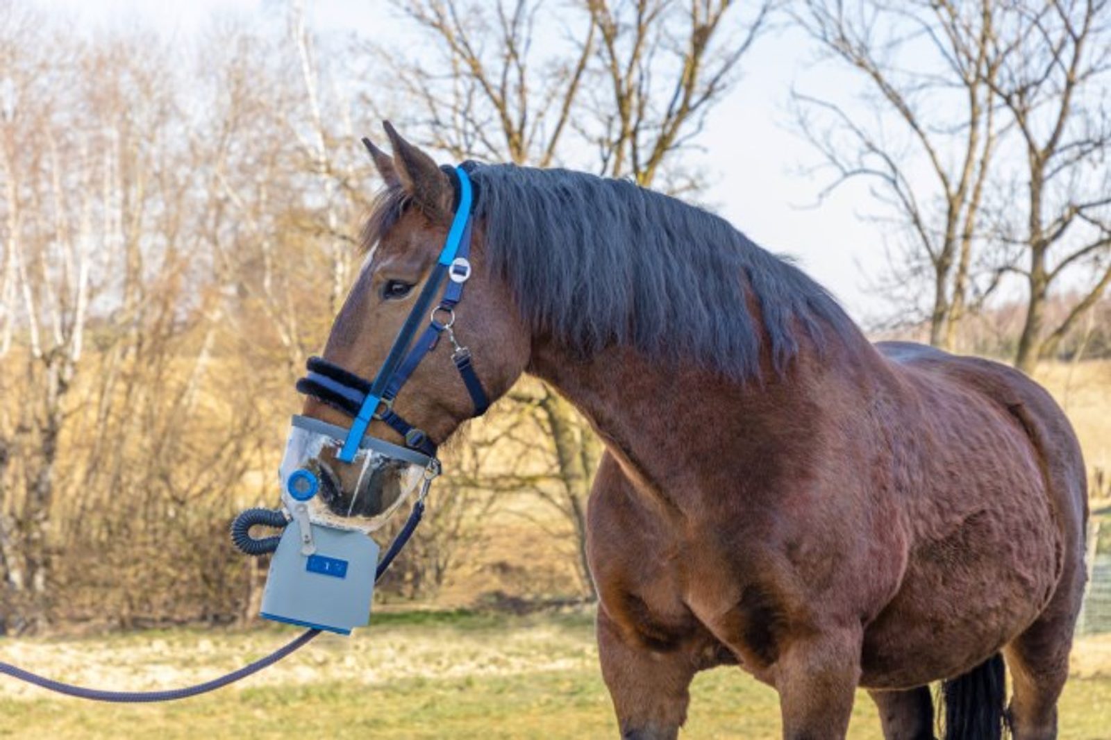 Inhalátor pro koně Air One Flex - Equiservis.cz