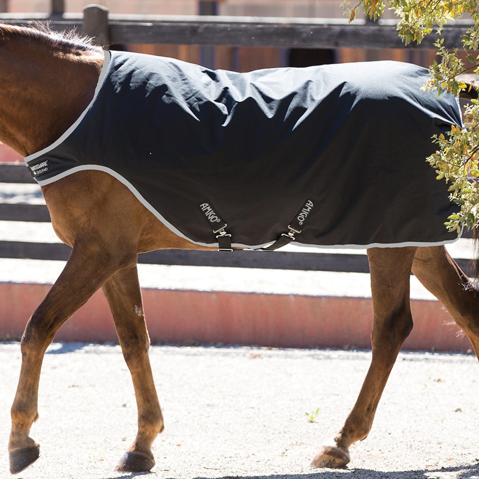 Deka Horseware Amigo Walker 200g - Equiservis.cz