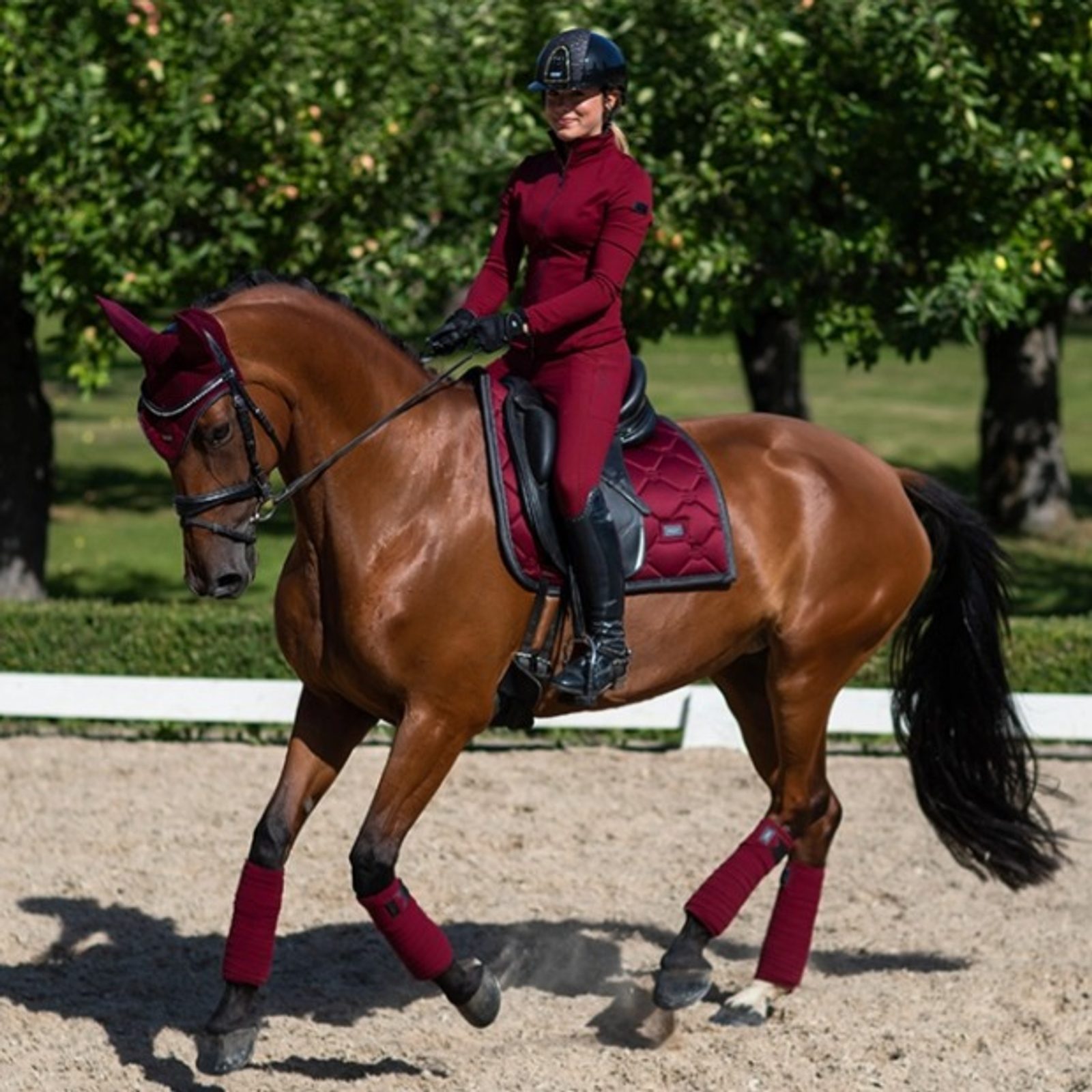 Podsedlová dečka Equestrian Stockholm Dark Bordeaux Kolekce 2022/23 ...