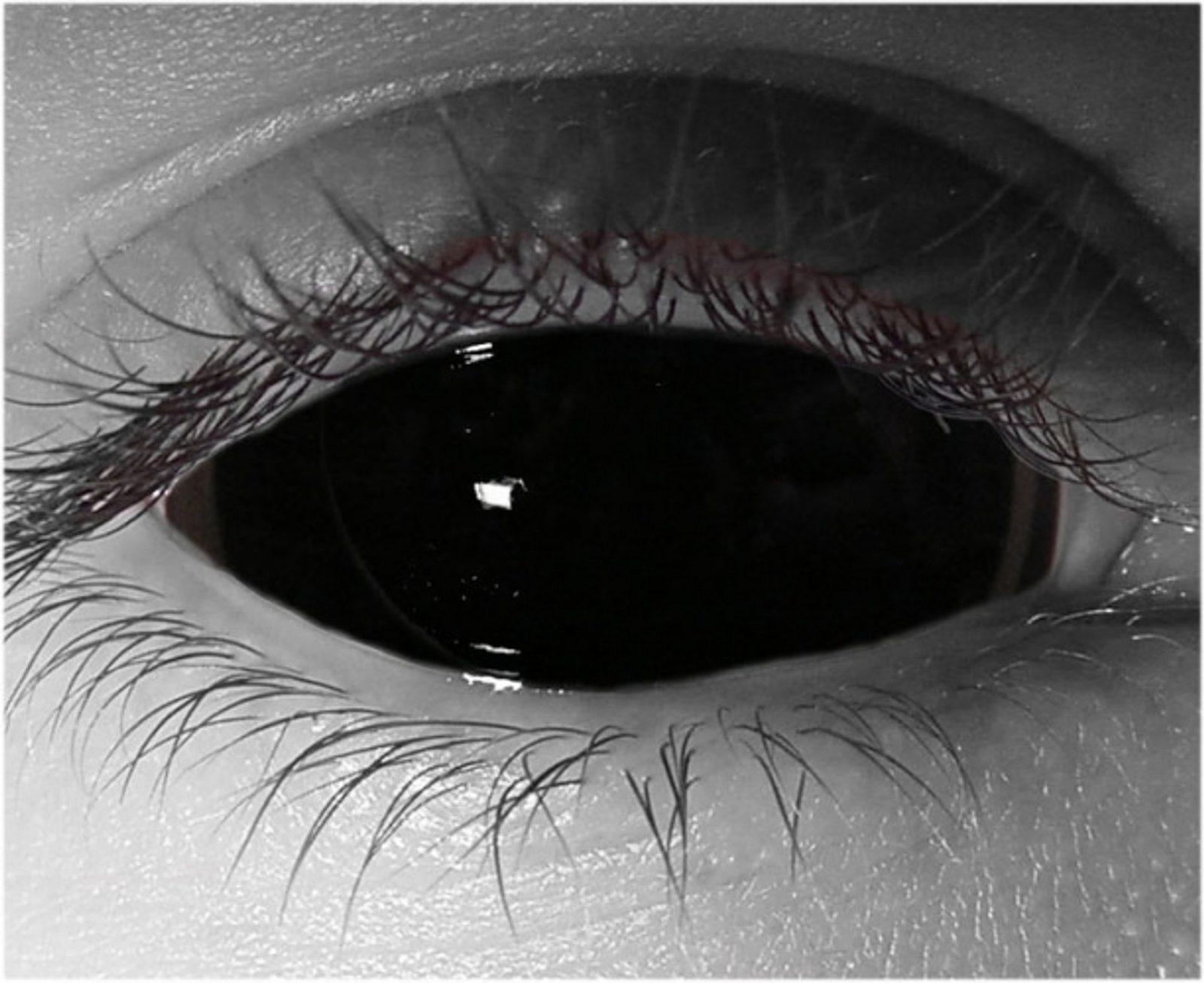 BLACK SCLERA Contact Lenses - Lucifer - Sclera Contacts - SCLERA-LENSES.com