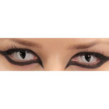 WHITE CAT Contact Lenses - Lucifer - Halloween & Crazy Contacts ...