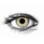 Discover the Best Colored Contacts for Every Eye Color - SCLERA-LENSES.com