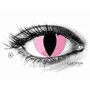 Cat eyes & snake & reptile - SCLERA-LENSES.com