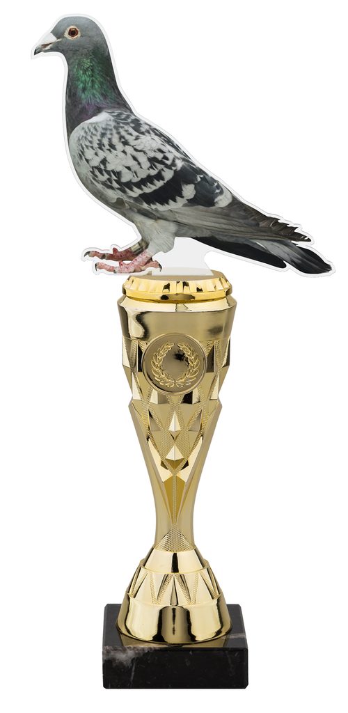 Pigeon Acrylic Top Trophy | Trophy Monster ⭐ USA
