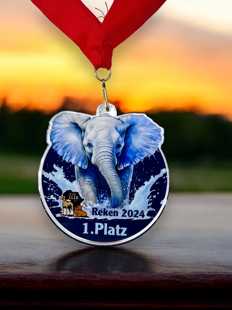 Nala Acrylic Custom Medal | Trophy Monster ⭐ USA