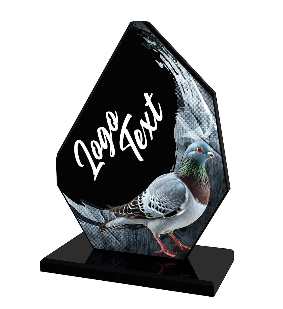 Destin Pigeon Racing Acrylic Award | Trophy Monster ⭐ USA