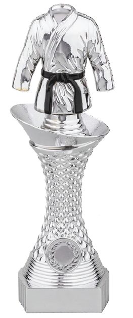Silver Karate Trophy | Trophy Monster ⭐ USA