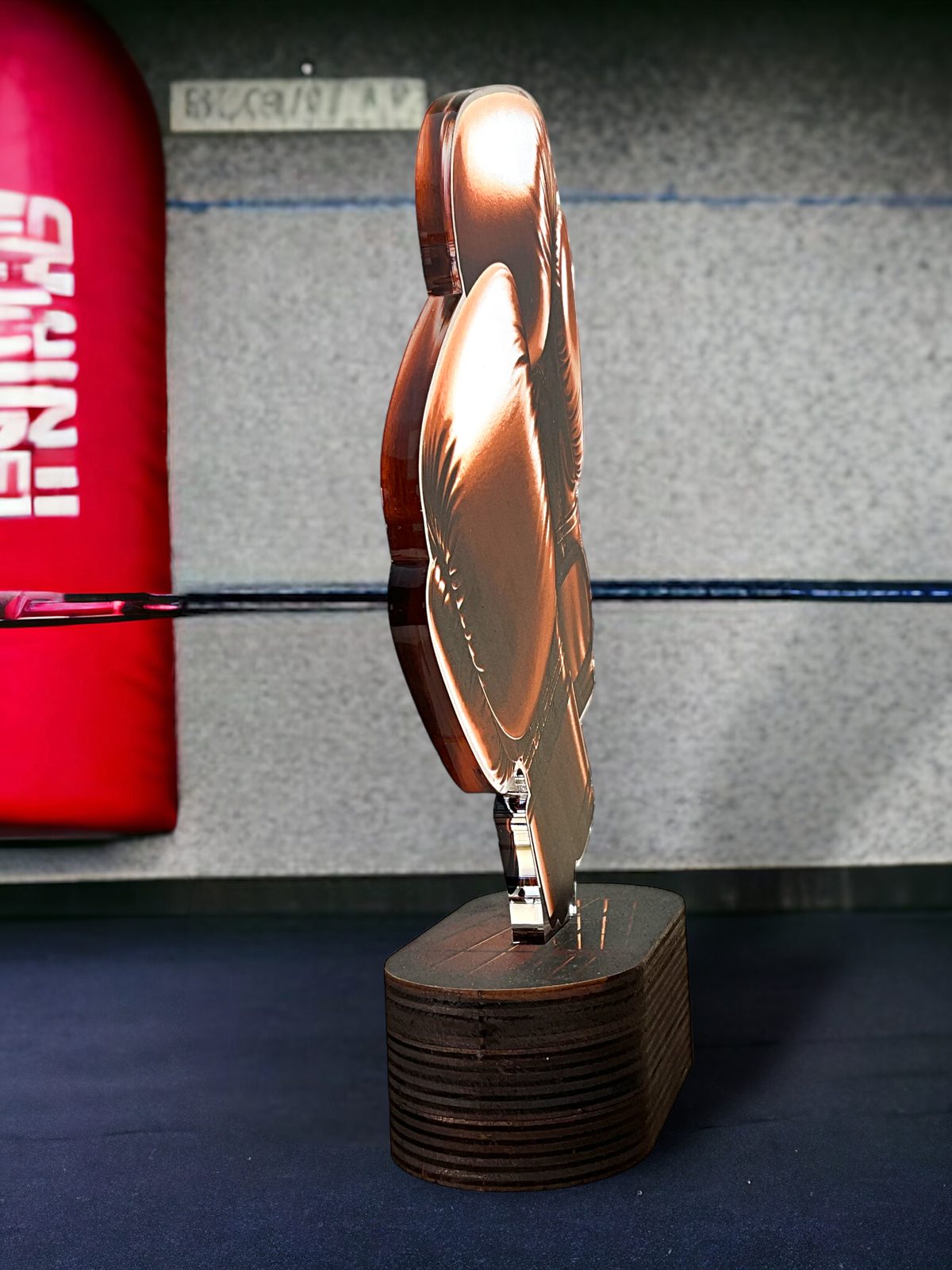 Altus Classic Boxing Trophy | Trophy Monster ⭐ USA