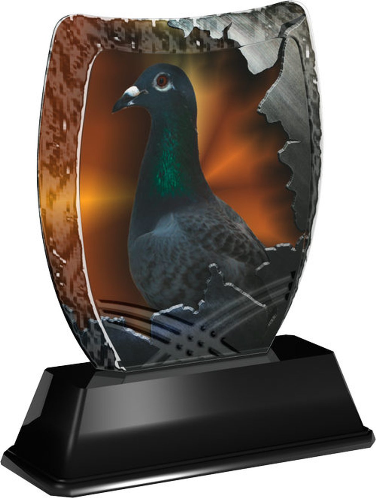 Iceberg Pigeon 2 Trophy | Trophy Monster ⭐ USA