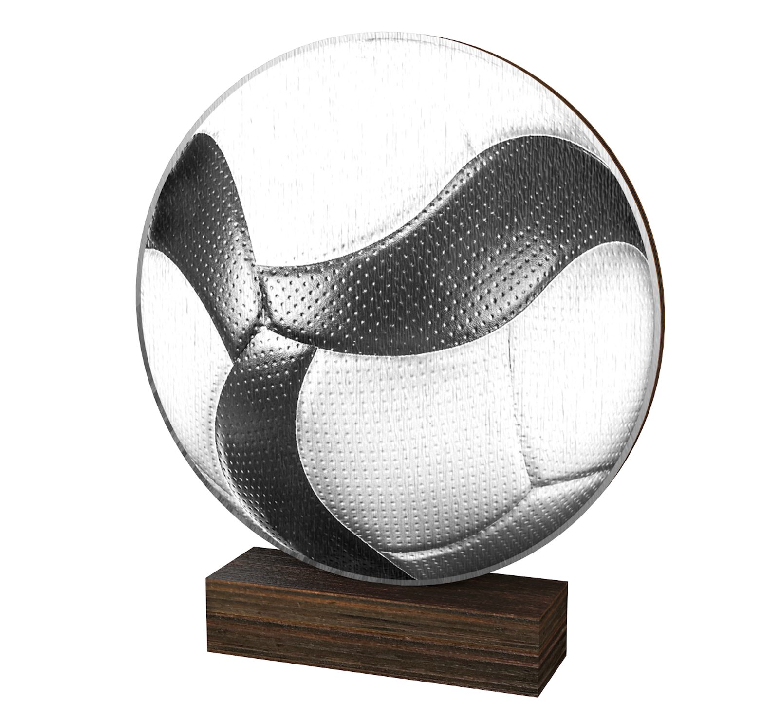 Sierra Classic Volleyball Ball Real Wood Trophy | Trophy Monster ⭐ USA